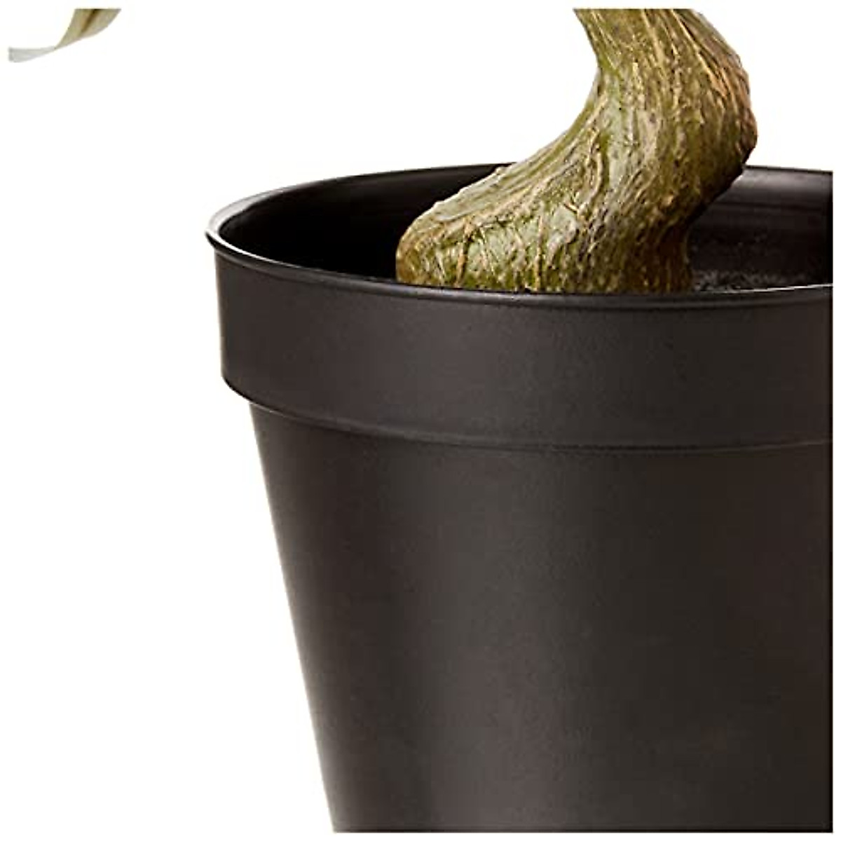 Amazon Brand - Stone & Beam Artificial Olive Tree with Plastic Nursery Pot, 2.2 Feet (26.5 Inches) / Small, Indoor