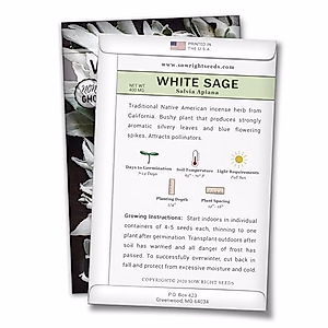 Sow Right Seeds - White Sage Seed for Planting - Non-GMO Heirloom Packet with Instructions for Planting and Growing a Home Herb Garden - Indoors or Outdoors - Make Your Own Herbal Incense (1)