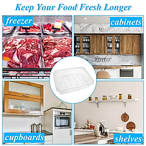 QTLCOHD 8 Pack Large Food Storage Containers with Removable Drain Plate and Lid for Meat Fruits Vegetables Freezer Storage