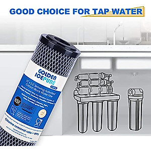 GOLDEN ICEPURE 1 Micron 2.5" x 10" Whole House CTO Carbon Sediment Water Filter Compatible with Dupont WFPFC8002, WFPFC9001, FXWTC, Culligan P5-D, WHCF-WHWC, D-10A, DWC30001, SCWH-5, 3PACK