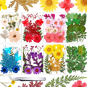109 Pieces Real Dried Press Flowers Set, Natural Pressed Dry Flowers Leaves Mixed Multiple Dried Flowers with Tweezers for Craft DIY Candle Resin Jewelry Nail Pendant Making Supplies