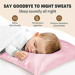 OLESILK 100% Mulberry Silk Toddler Pillowcase for Hair and Skin, Both Sides 19 Momme Pure Natural Silk Travel Pillow Cases with Hidden Zipper, 13"x 18", Pink
