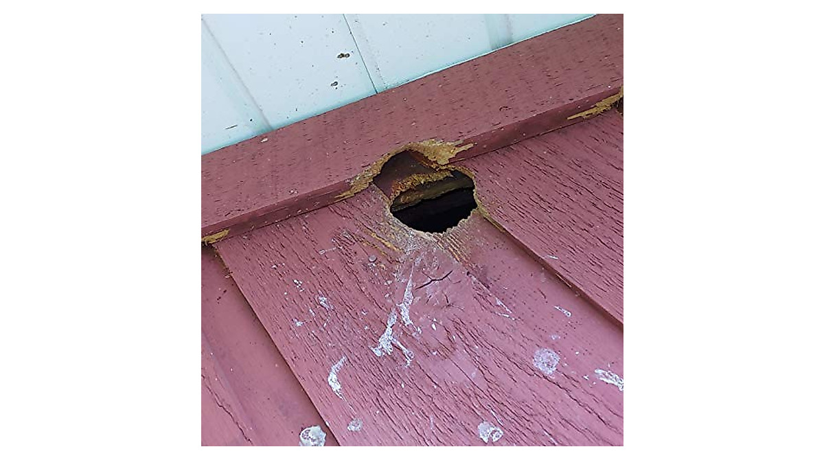 Bird Banisher Woodpecker Deterrent - Effective Bird Control Device