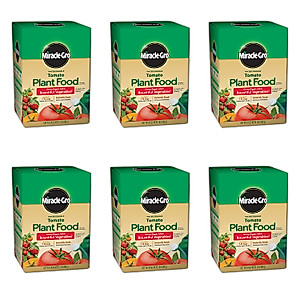 Miracle-Gro 2000422 Tomato Plant Food Tomato Fertilizer (6 Pack), 1.5 lb
