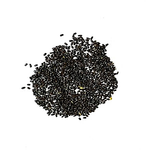 Seed Needs, Munstead Lavender Seeds - 500 Heirloom Seeds for Planting Lavandula angustifolia - Non-GMO & Untreated Fragrant Flowers to Attract Pollinators (2 Packs)