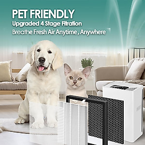 G3 H13 HEPA Filter Replacement Compatible with AMEIFU Air Purifier Replacement Filter for AMEIFU Air Purifier G3 Sferf-30 FXAP2W and Vewior Air Purifier Filter Replacement A3, Tailulu HQZZ-260, 1-Pack