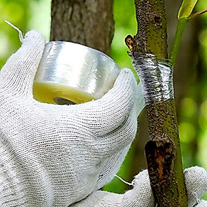 YARDWE Grafting Tape| 3 Roll 30mm Wide Clear Stretchable Nursery Grafting Films for Floristry Plants Repair, Bio- degradable Moisture Barrier Grafting Tools for Garden Trees Fruit Vegetable Flower