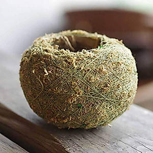 Generic 5pcs Moss Ball Planter Japanese Style Natural Kokedama Flower Vase Flower Pot Creative Sphagnum Flower Holder Potted Hydrating Bonsai Plants Containers for Home Wedding Decor
