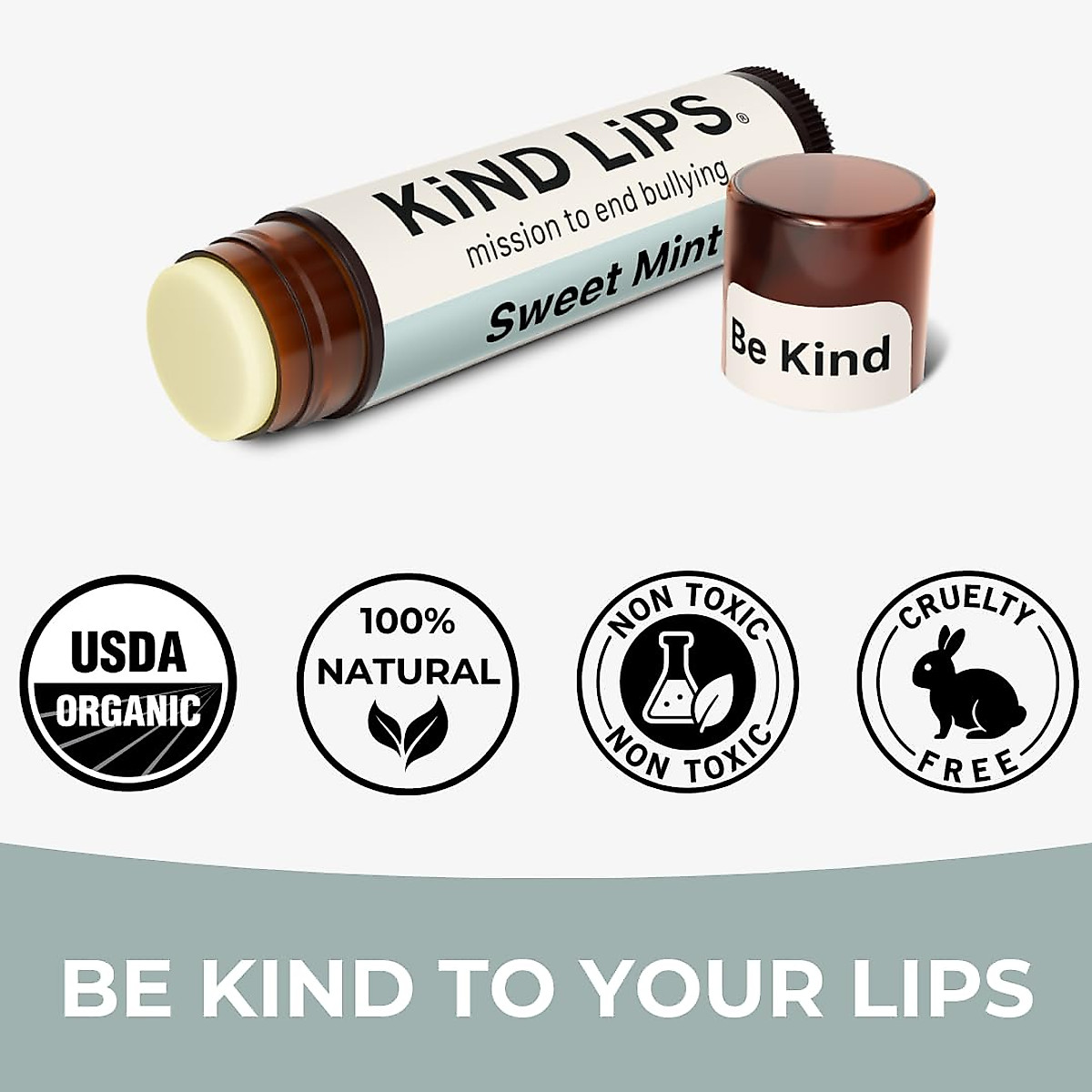 USDA Organic Lip Balm Variety 5 Pack – 100% Natural, Moisturizing Lip Care with Beeswax & Coconut Oil – Hydrating Lip Balm for Dry, Chapped Lips, Chapstick Best Lip Repair for Women, Men, Kids