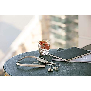 Sony WI-1000XM2 in-Ear Noise Cancelling Neckband Silver Headphones with an Additional 1 Year Coverage by Epic Protect (2021)