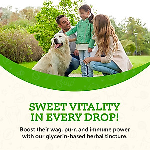 Animal Essentials Super Immune for Dogs & Cats - Immune System Support Supplement, Echinacea, Eleuthero, Olive Leaf Extract, Liquid Drops - 1 Fl Oz