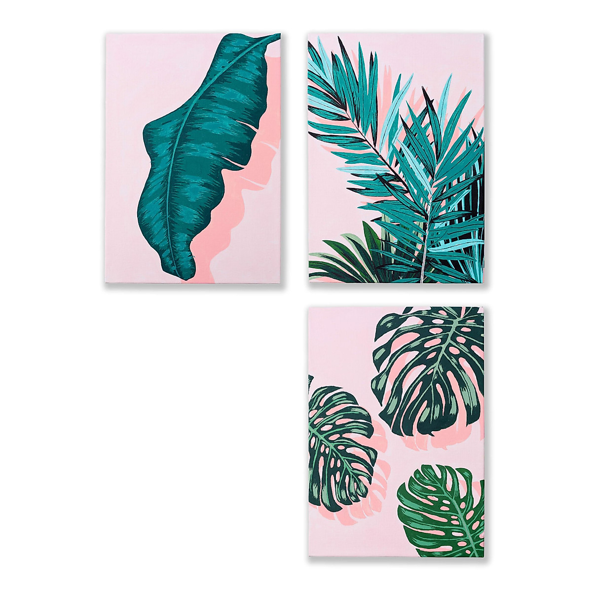 Dabble™ Premium Paint by Numbers Kit for Adults Beginners, Quality Painting by Numbers for Adults on Canvas Frame, Flowers, Plants, Gift - Plant Life