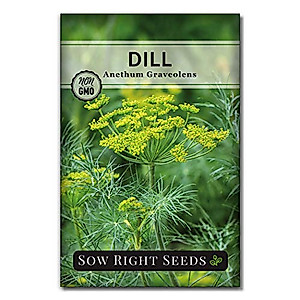 Sow Right Seeds - 15 Herb Garden Seed Collection - 15 Essential Herbs for Cooking; Non-GMO Heirloom Seeds; Full Instructions for Planting an Easy to Grow Kitchen Garden, Indoor or Outdoor; Great Gift…