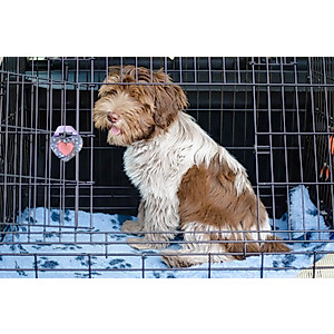 SPOT Soothers- On The Go Sachets- Separation Anxiety Toys for Dogs & Puppies, Scented with Calming Lavender Fragrance Beads to Safely Calm Pets During Travel and Vet Visits, 2pcs