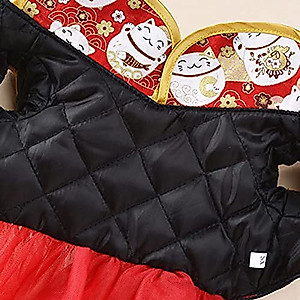 Pet Tang Suit Luck Cat Printing Chinese Style Warm Dog New Year Clothes Cat Costume Pet Clothes Dog Cheongsam