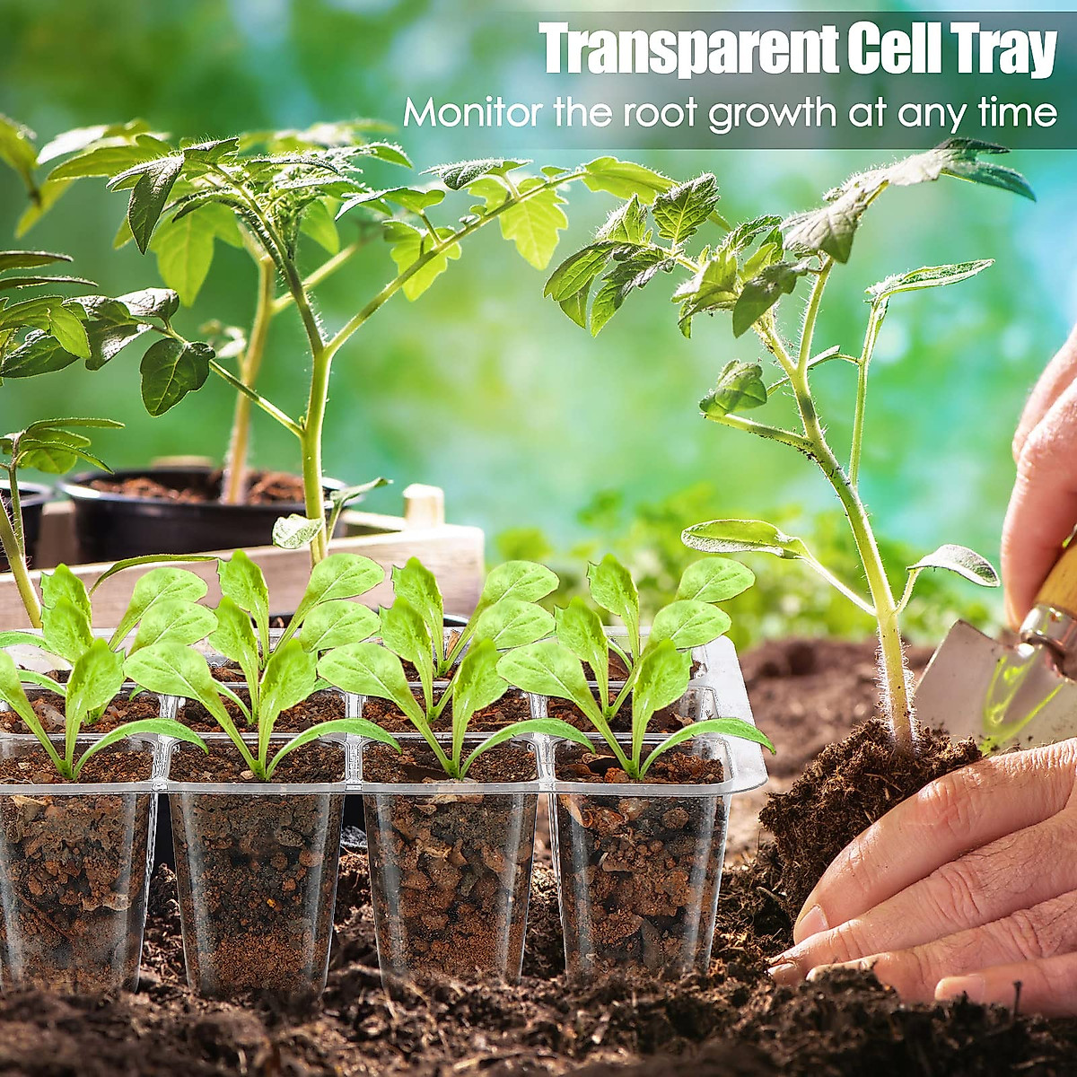 20 Set Seed Starter Tray Seed Starter Kit with Humidity Dome 240 Cells Total Plant Germination Trays with Drain Hole Reusable Propagation Tray Base Mini Greenhouse for Seedling Starting Growing