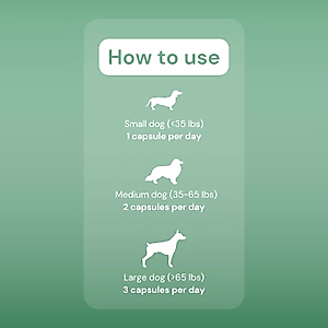 OptiMins Dog Vitamin & Mineral Capsules - Essential Nutrients for Health - Vitality & Immune Support - Multivitamin, Amino Acids, and Minerals for Skin, Digestion and Heart Health