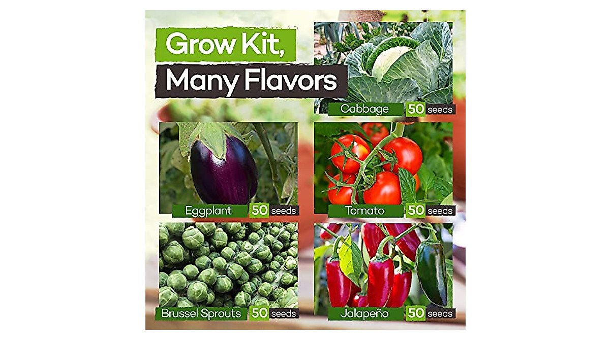 Vegetable Garden Starter Kit with 250+ Seeds – Indoor Gardening Made Easy