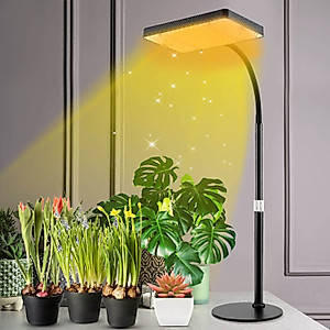 FECiDA Desk Grow Lights for Indoor Plants, Table Top Grow Light UV-IR Full Spectrum, 2000 Lumen LED Bonsai Houseplant Growing Lamp with On/Off Switch, 16"-24" Height Adjustable