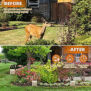 DALIYREPAL Deer Repellent, Rabbit Repellent Outdoor,Deer Repellent for Plants, Rabbit Repellent for Yard Powerful, Deer Deterrent for Trees,Outdoor Deer Repellant Yard 12 Packs/Bag