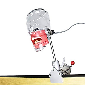 Teaching Head Model Plastic Educational Teeth Model Manikin Phantom Head Models Fix on Table
