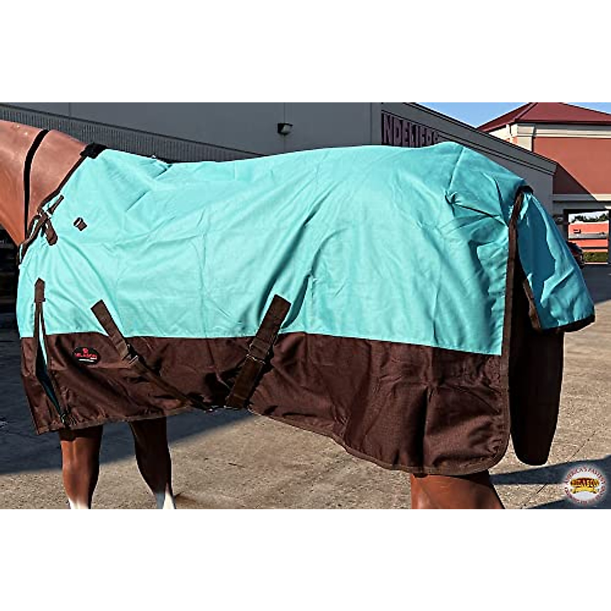 HILASON 1200D Turnout Light Winter Waterproof Rain Sheet Horse Sheet | Horse Sheet | Horse Turnout Sheet | Horse Sheets for Winter | Waterproof Turnout Sheets for Horses