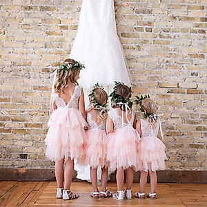Toddler Girls Baby Girl Lace Back Tiered Tutu Tulle Flower Girl Dress Baby Girl Clothes Pink Dress (6-12 Month, Pink)