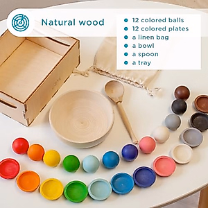 Ulanik Balls on Plates Toddler Montessori Toys for 1+ Year Old Kids Wooden Matching Game for Learning Color Sorting and Counting — 12 Balls, 1.18 in