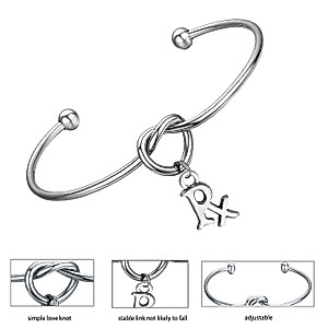 FEELMEM Rx Pharmacist Pharmacy Bracelet Love Knot Bangle with RX Symbol Charm Bracelet Graduation Gift(RX charm-Silver)