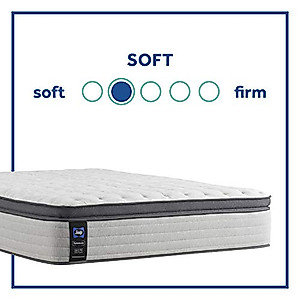 Sealy Posturepedic Spring Summer Rose Euro Pillowtop Soft Feel Mattress and 5-Inch Foundation, Queen