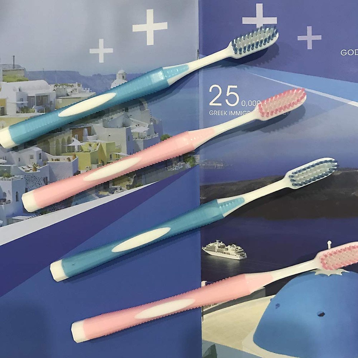 50 Pack Toothbrush Standard Classic Soft Individually wrapped Wholesale lot (50pack)