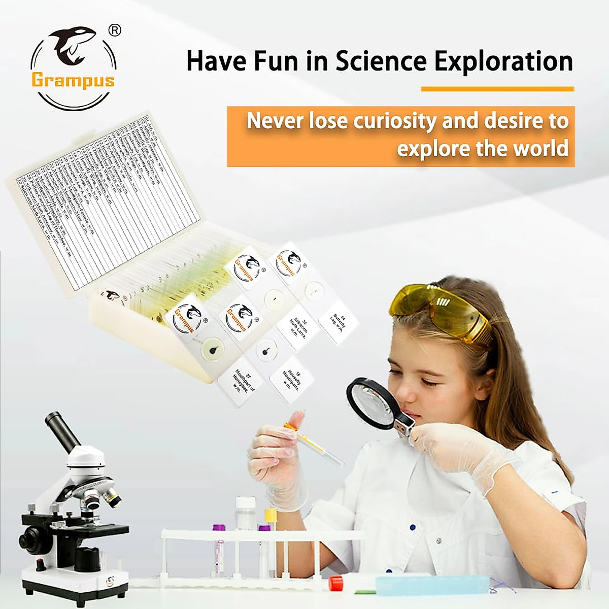 30 Prepared Microscope Slides with Specimens for Kids Students - Insects, for Biological Science Lab, Children's Science Education, Homeschooling Use