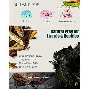 Tasty Freeze Dried Grasshopper Reptile Food for Turtles, Bearded Dragon, Hedgehog,Lizard, Chameleon, Birds (3 OZ)