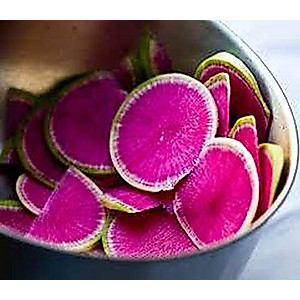 Watermelon Radish Seeds - Inside is red to Pink, Very Sweet and Crisp MMmmmm. (50 - Seeds)