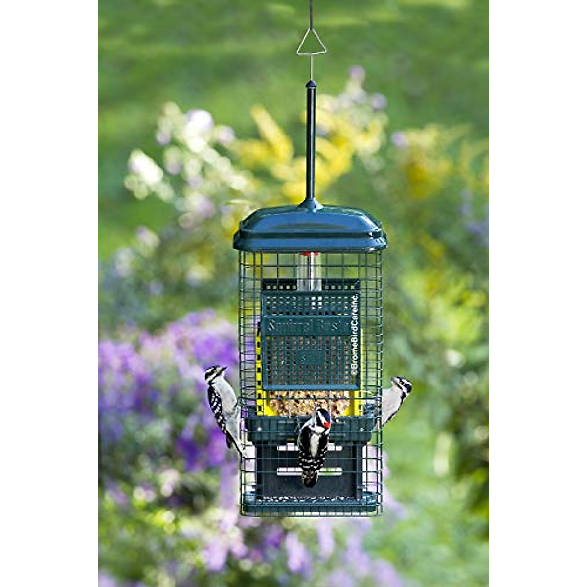Squirrel Buster Suet Squirrel-proof Suet Bird Feeder w/2 Suet Cake Trays, 2 Crumb Ports, Mess-free Suet Loading,Green