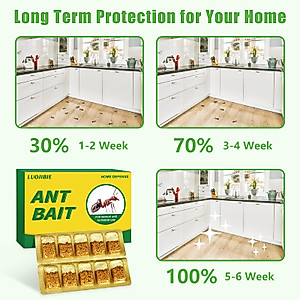LUOJIBIE Ant Killer Bait for Household Use, Ant Traps, Strongly and Effectively Ant Control for Indoor&Outdoor-10 Count
