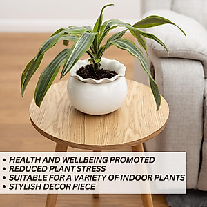 African Violet Pots 6 Inches Ceramic, Effortless Self Watering Pots for Indoor Plants for Busy Plant Lovers, Easy Plant Self Watering Pot, Plant Pots, Flower Pot, Plant pots Indoor