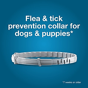 Seresto Large Dog for Dogs Over 18 lbs. & Seresto for Cats Vet-Recommended Flea & Tick Treatment & Prevention Collars | 8 Months Protection Each