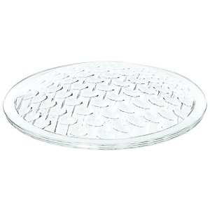 Pentair 79100100 Amerlite Clear Lens 8 3/8"