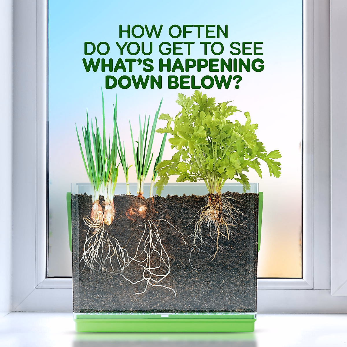 Root Viewer Kit for Kids - Easter Gifts - Grow Your Own Plant for Boys & Girls - Science STEM Toy & Craft Growing Kits for Ages 4-8 Birthday Gifts for Boy, Girl 4, 5, 6, 7, 8, Year Old - Gardening Toy