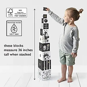 Wee Gallery Nesting Blocks - Woodland Animals and Numbers, Black and White Stacking and Building Toy for Toddlers and Kids, Motor Skills, Creative Play and Problem Solving for Children (Age 2 and up)