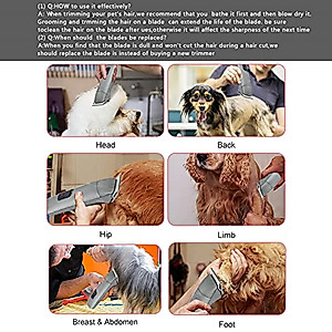 10 Blade Dog Grooming Clipper Replacement Blades Compatible with Andis/Wahl / Oster Dog Clippers,Detachable Ceramic Blade & Stainless Steel Blade,Size-10, 1/16-Inch Cut Length (64315)