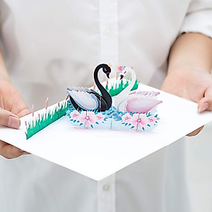 DKT HANDMADE Wedding pop up card (Swan Couple), 3D wedding card, Wedding Pop Up Anniversary Card, The Perfect Handmade Gifts for Bride and Groom in Wedding Party, Love popup card, Valentine 3D card