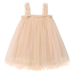 Girls Tutu Flower Girl Dress Tulle Dress Baby Outfit Toddler Christmas Baby Dress, 18-24 Months Champagne