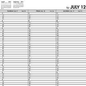 AT-A-GLANCE Weekly Planner/Appointment Book, Academic Year, 14 Months, July 2015–August 2016, 8.25 x 10.88 Inch Page Size (70-957-05)