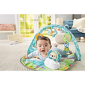 Fisher-Price Butterfly Dreams Musical Playtime Gym [Amazon Exclusive]