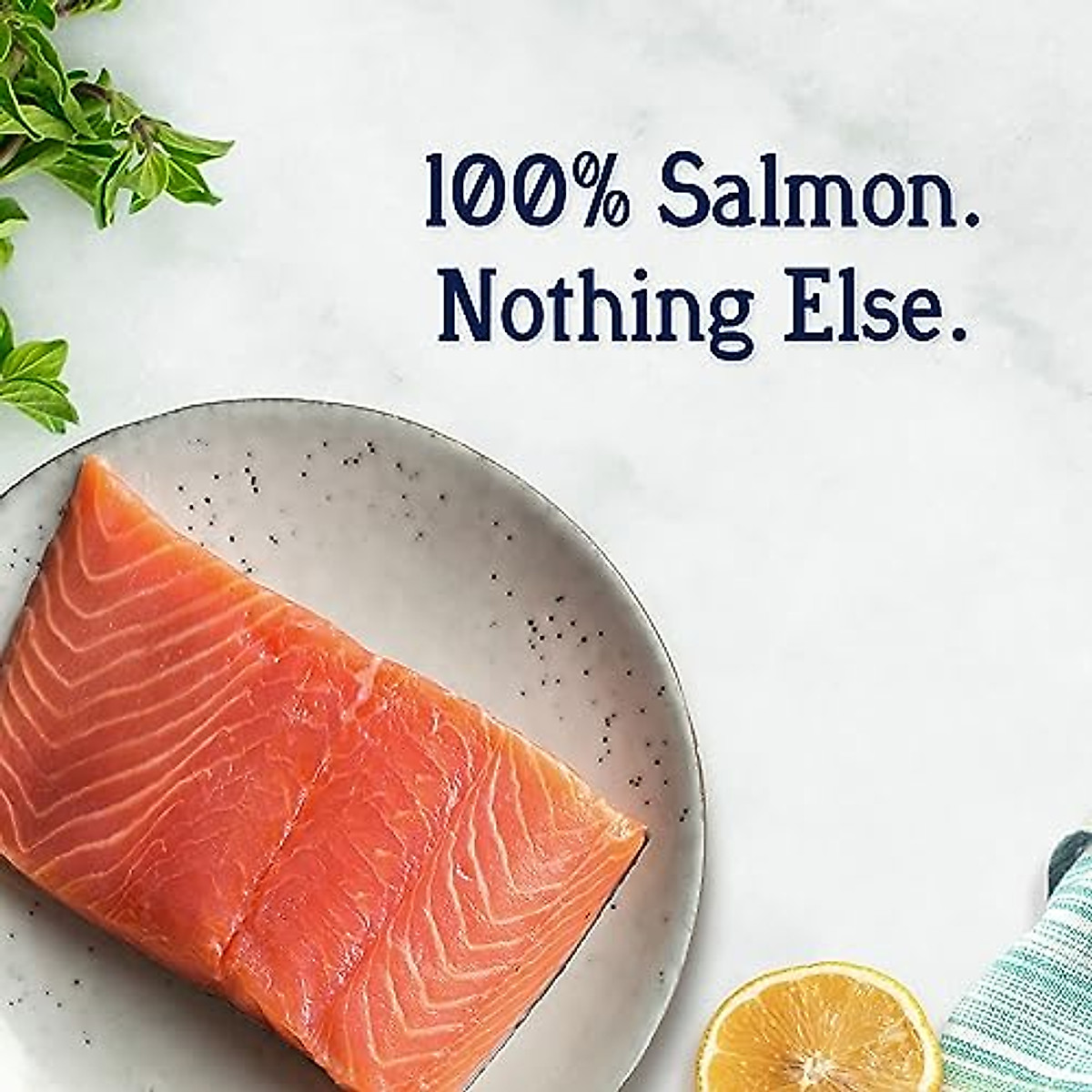 Stewart Freeze Dried Dog Treats, Wild Salmon, Grain Free & Gluten Free, 2.75 Ounce Resealable Tub, Single Ingredient, Made in USA, Dog Training Treats