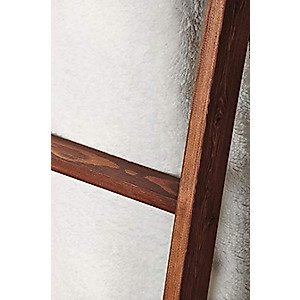 BrandtWorks, LLC 209L-SK Carrington Minimal Blanket Ladder, 20 x 72 x 2.5
