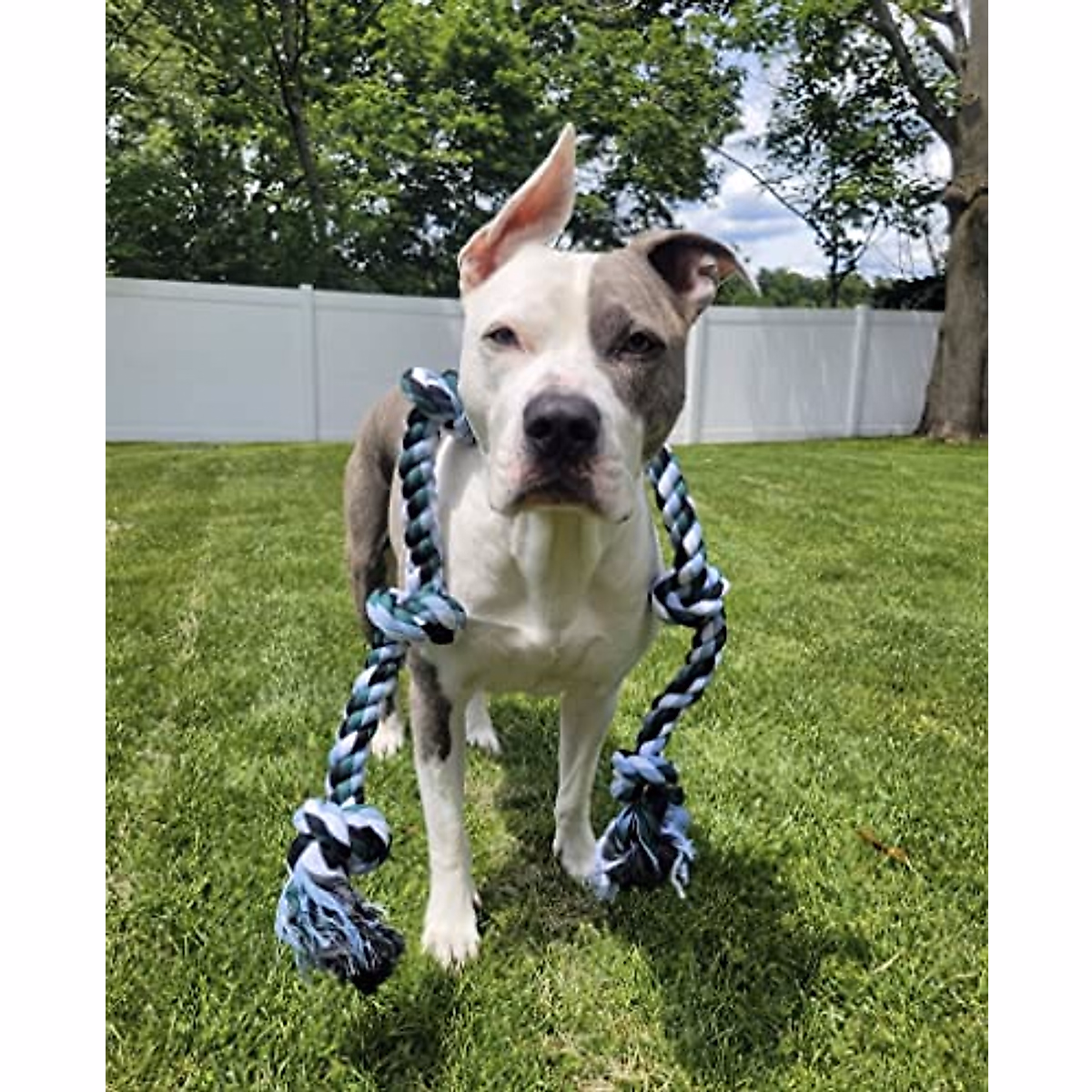 Giant Dog Rope Toys for Extra Large Dogs - 42 Inch, 6 Knot Tough Rope Chew Toys for Large Dogs - Benefits Non-Profit Animal Rescue - Indestructible Dog Toy for Aggressive Chewers and Large Dog Breeds