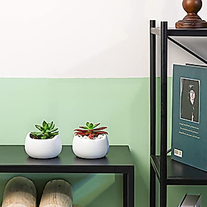 T4U Animal Succulent Pot 4 Inch Set of 6, Cat Shape Ceramic Planter with Drainage Hole, Cute Container for Small Cactus Bonsai Herb Plant, Indoor Home Office Garden Decoration Gift